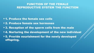 THE INTERNAL AND EXTERNAL STRUCTURE OF THE FEMALE REPRODUCTIVE SYSTEM.pptx