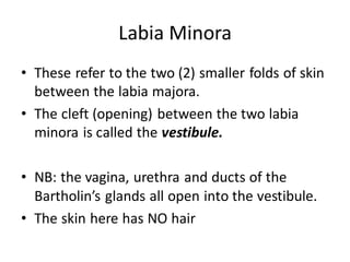 notes on the FEMALE REPRODUCTIVE SYSTEM .pdf