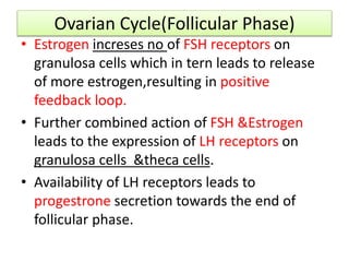 Female reproductive system Physiology | PPTX