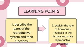 Female Reproductive System Biology Presentation in a Pink Bold Style.pptx