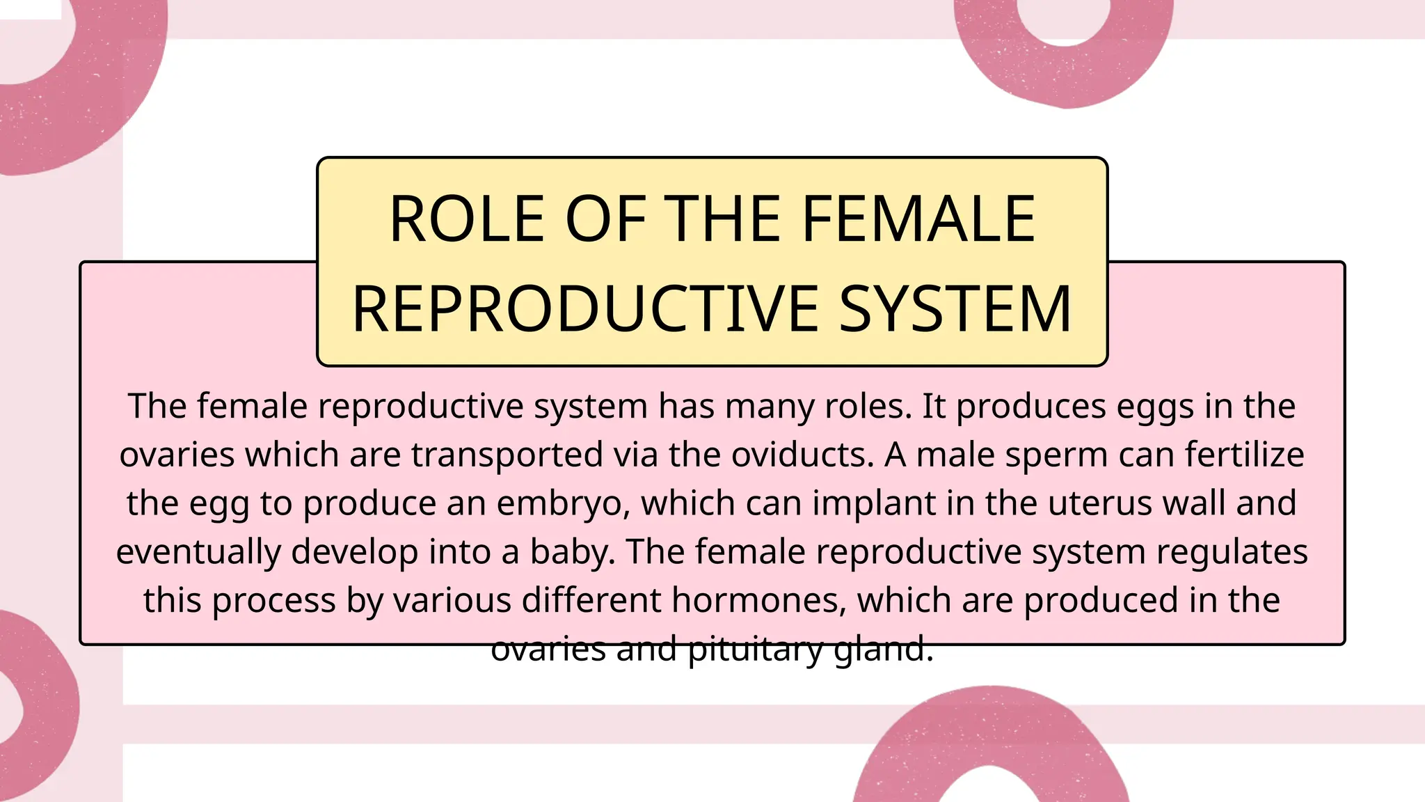 Female Reproductive System Biology Presentation in a Pink Bold Style.pptx
