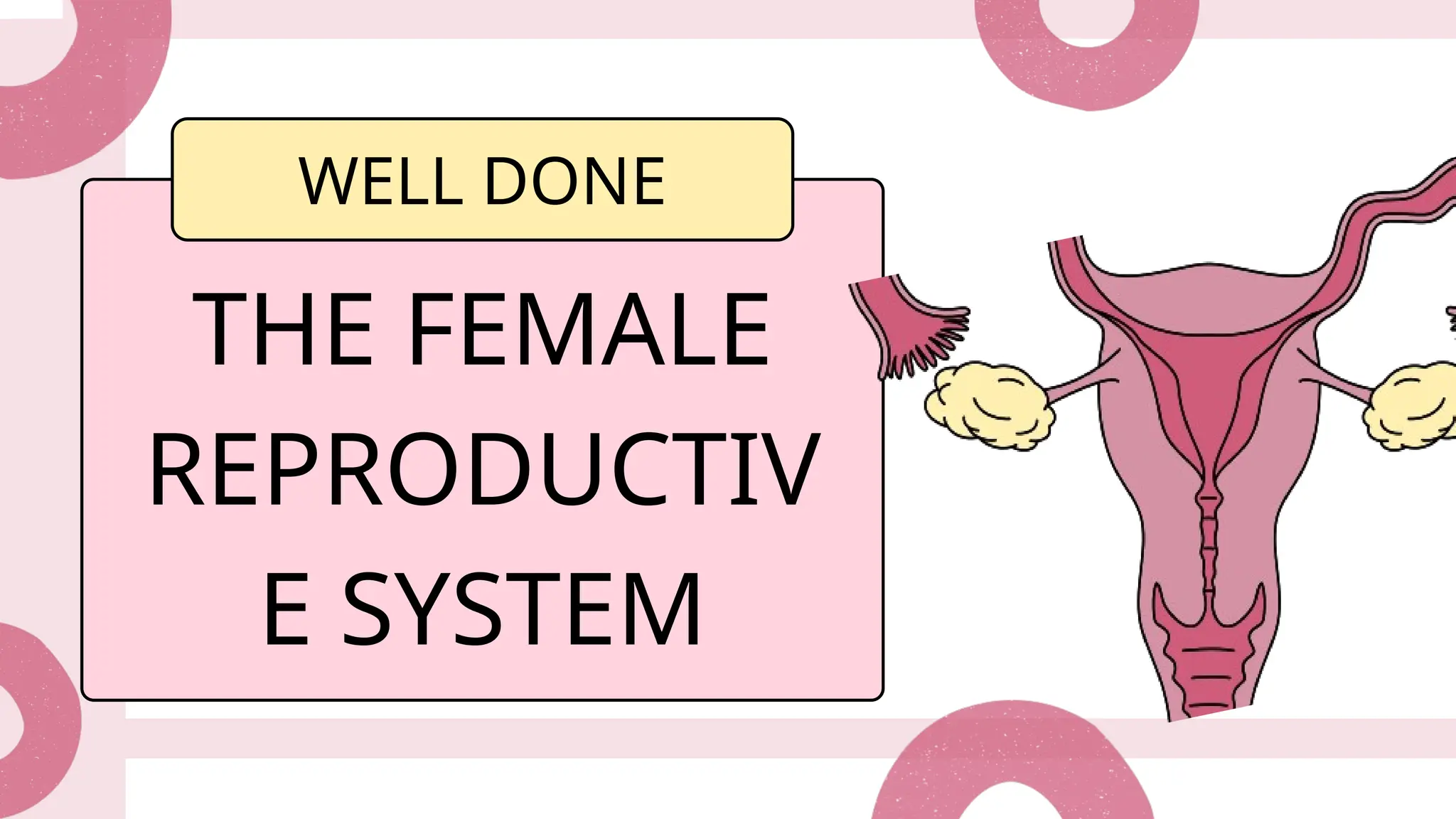 Female Reproductive System Biology Presentation in a Pink Bold Style.pptx