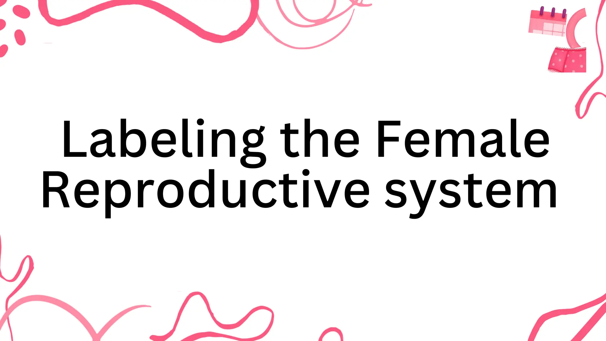Female Reproductive System final ppt.pptx