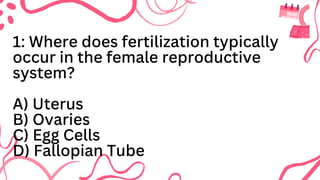 Female Reproductive System final ppt.pptx