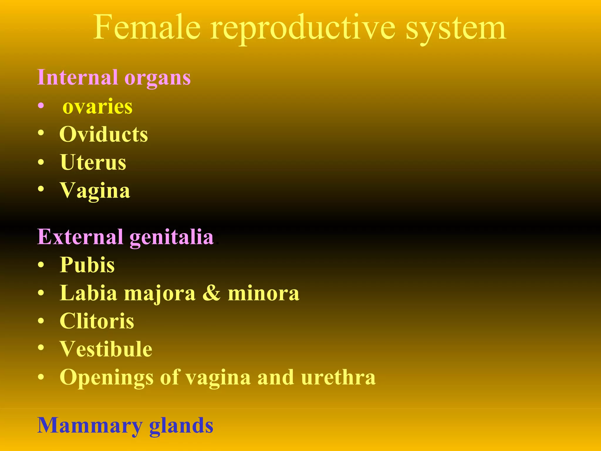 Female reproductive system histology .pptx