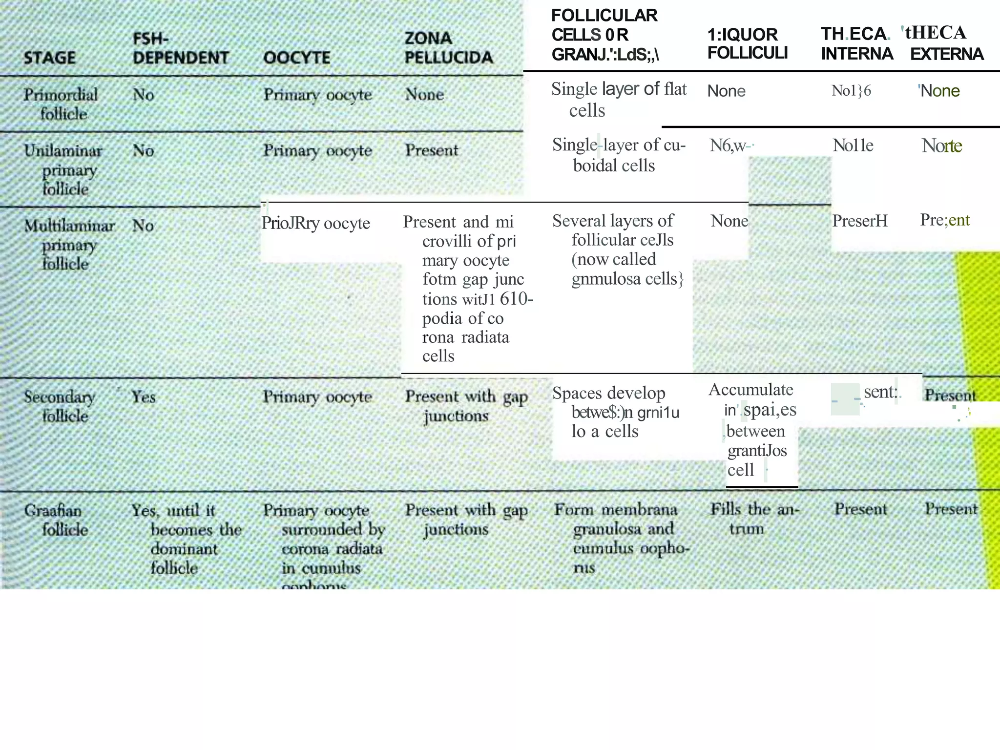 Female reproductive system histology .pptx