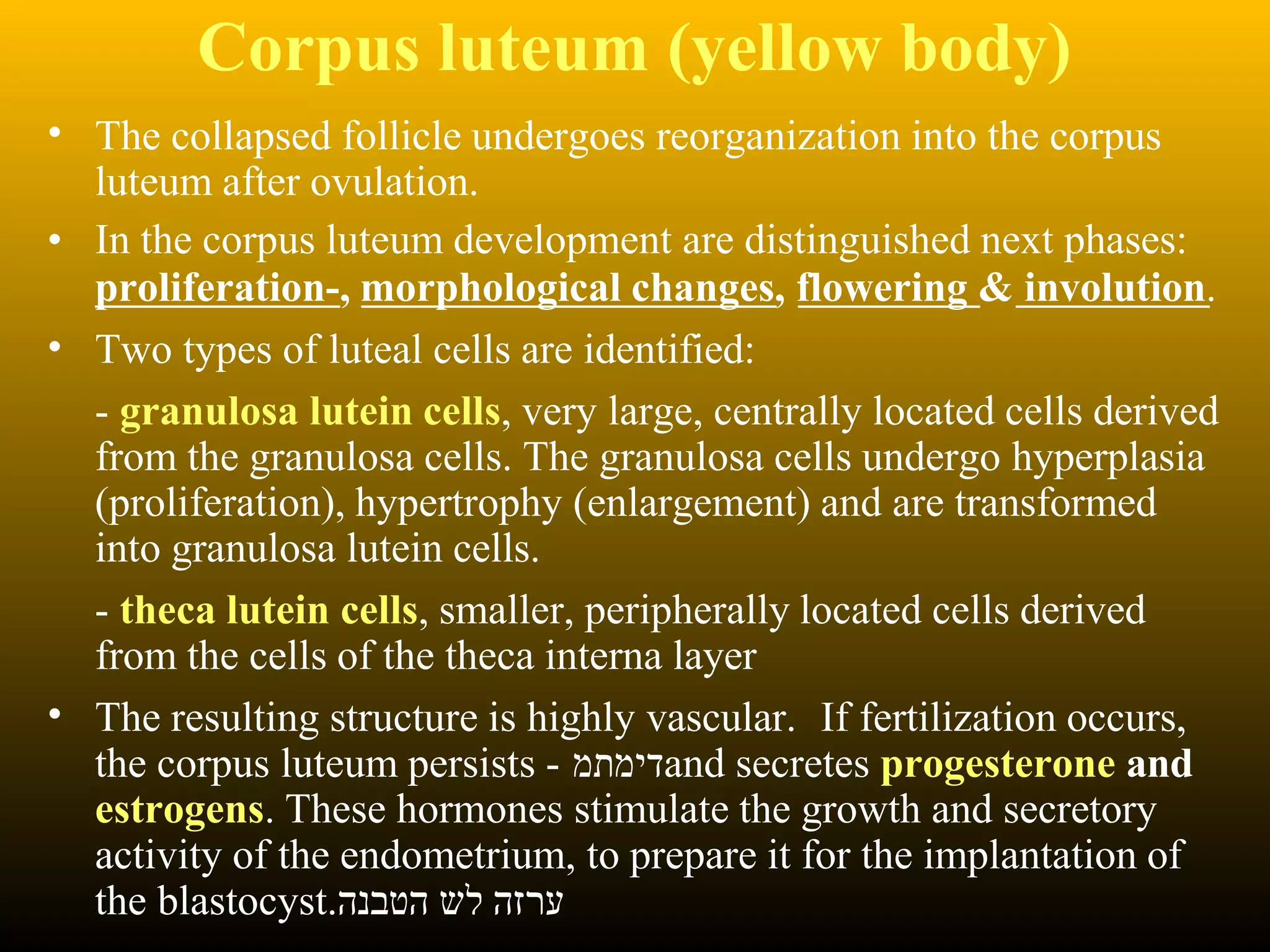 Female reproductive system histology .pptx