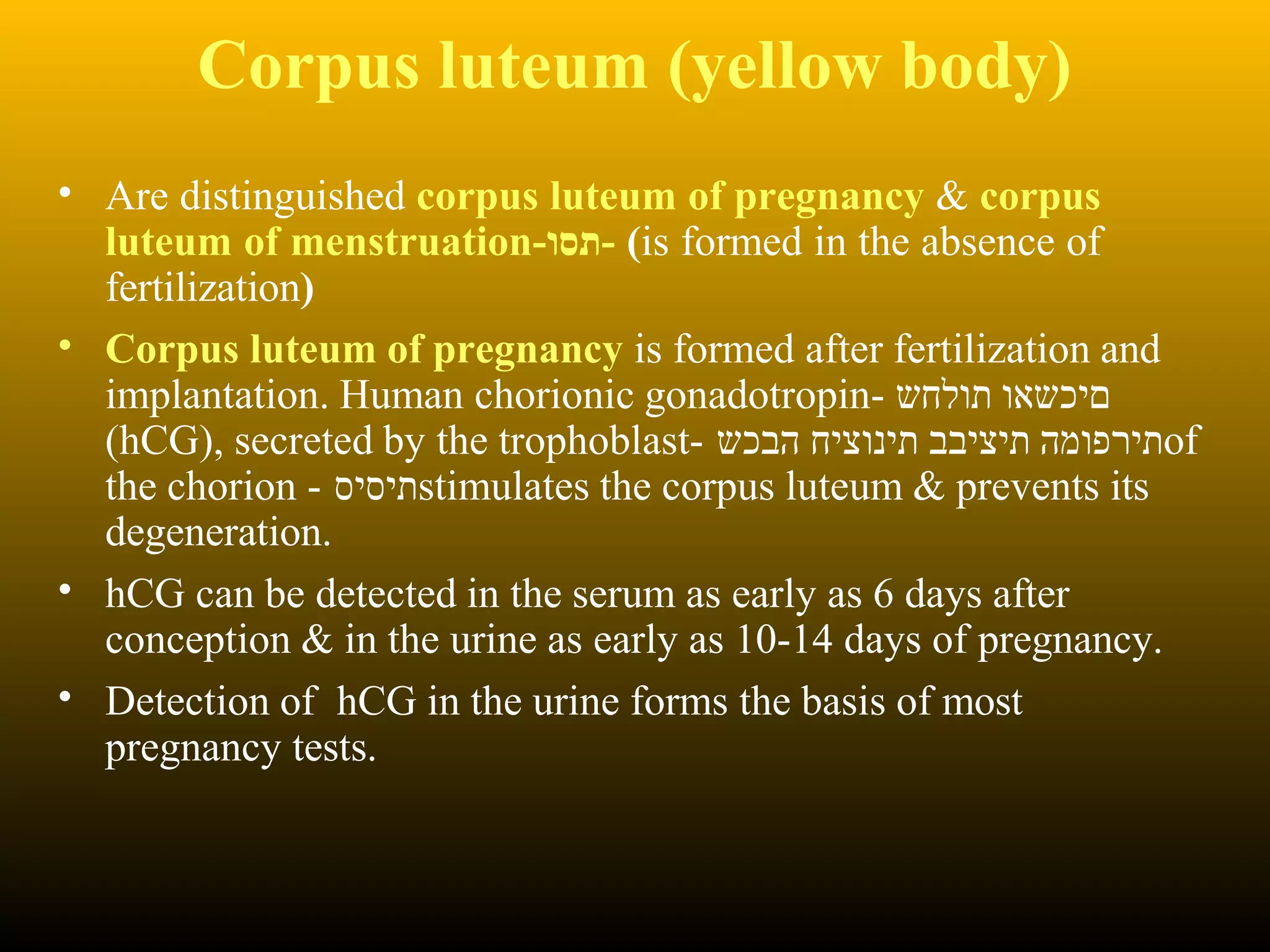 Female reproductive system histology .pptx