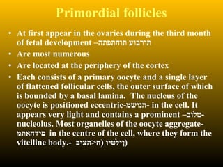 Female reproductive system histology .pptx
