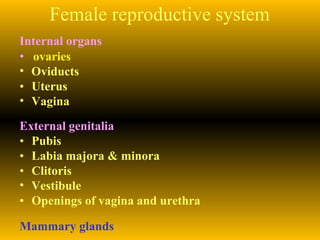 Female reproductive system histology .pptx