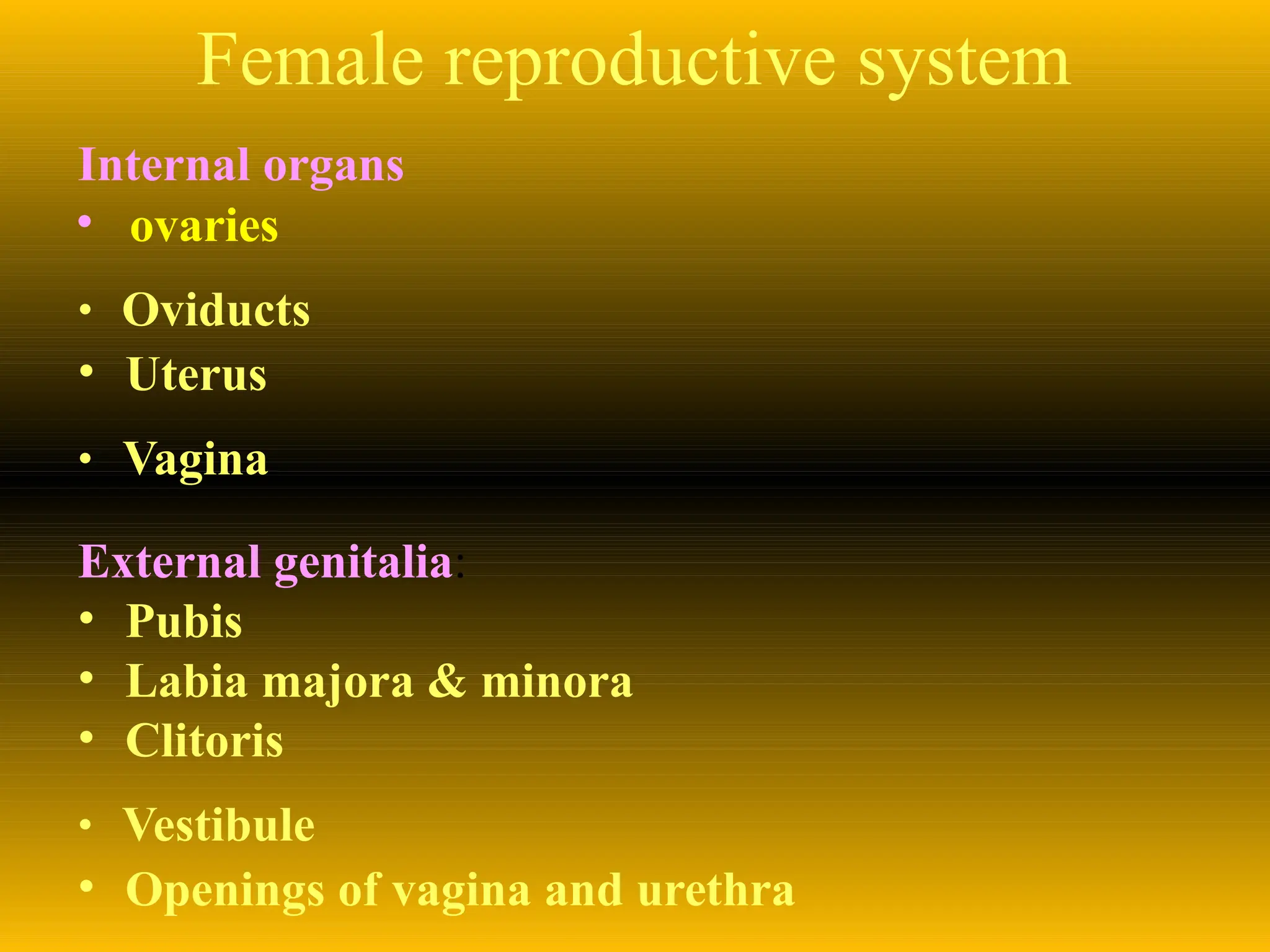 Female reproductive system histology .pptx