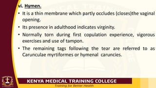 FEMALE REPRODUCTIVE SYSTEM INT AND EXT GENITALIA.pdf