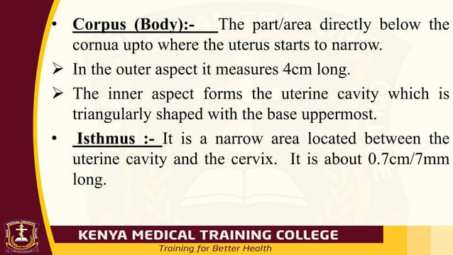 FEMALE REPRODUCTIVE SYSTEM INT AND EXT GENITALIA.pdf | Free Download