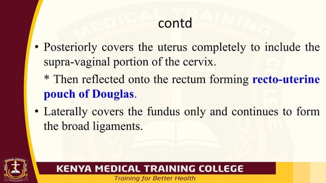 FEMALE REPRODUCTIVE SYSTEM INT AND EXT GENITALIA.pdf