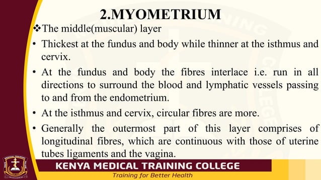 FEMALE REPRODUCTIVE SYSTEM INT AND EXT GENITALIA.pdf