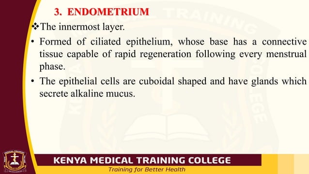 FEMALE REPRODUCTIVE SYSTEM INT AND EXT GENITALIA.pdf