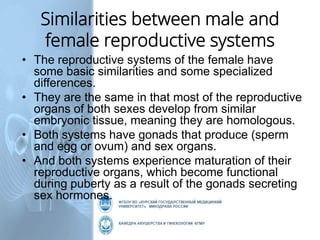 Female Reproductive System in the different periods life of the women.pdf
