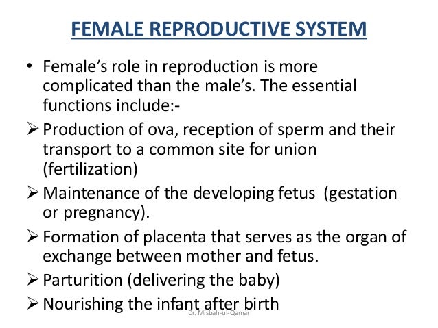 Female reproductive system & male and female infertility