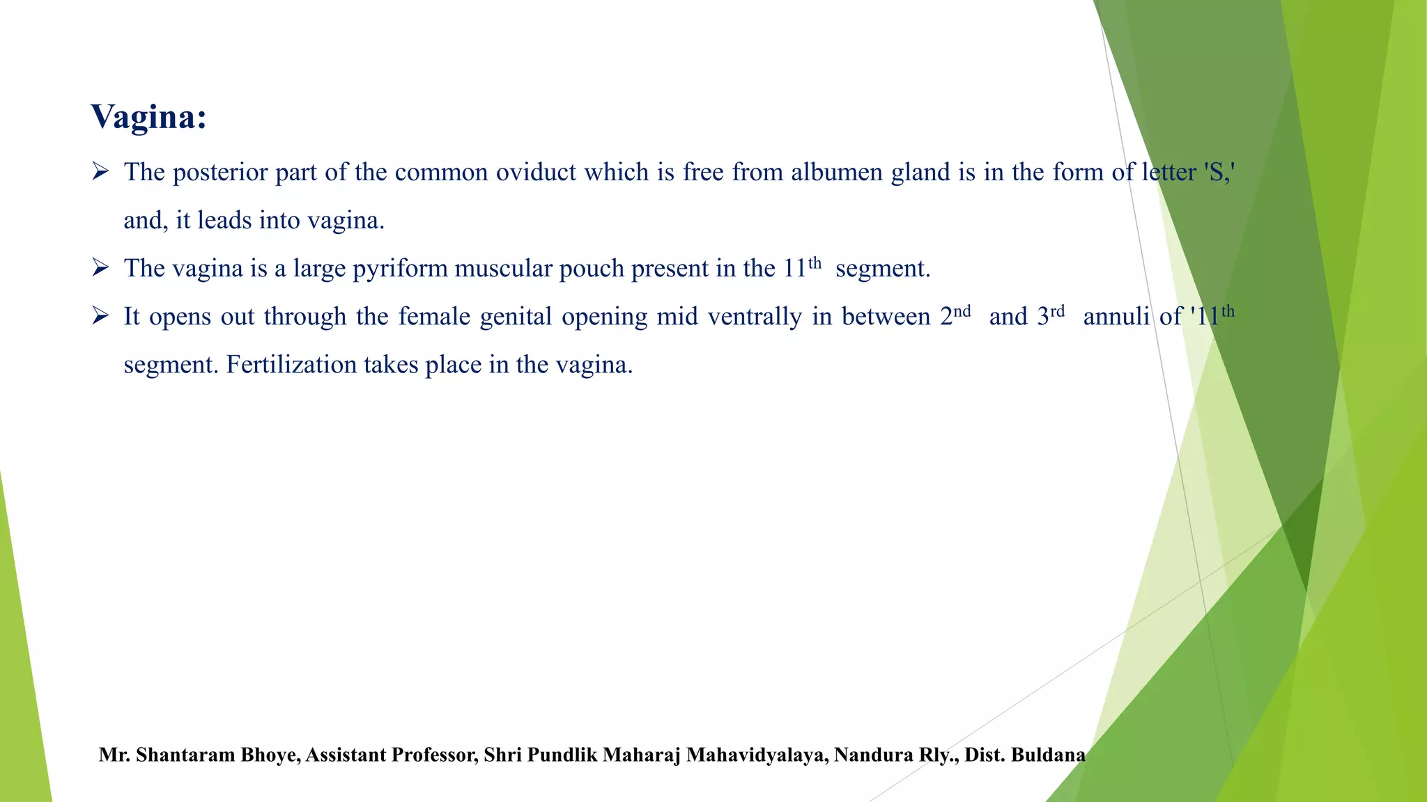 Female Reproductive System of Cattle Leech.pptx