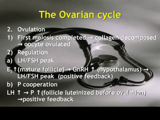female reproductive system physiology.ppt