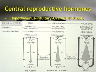 female reproductive system physiology.ppt