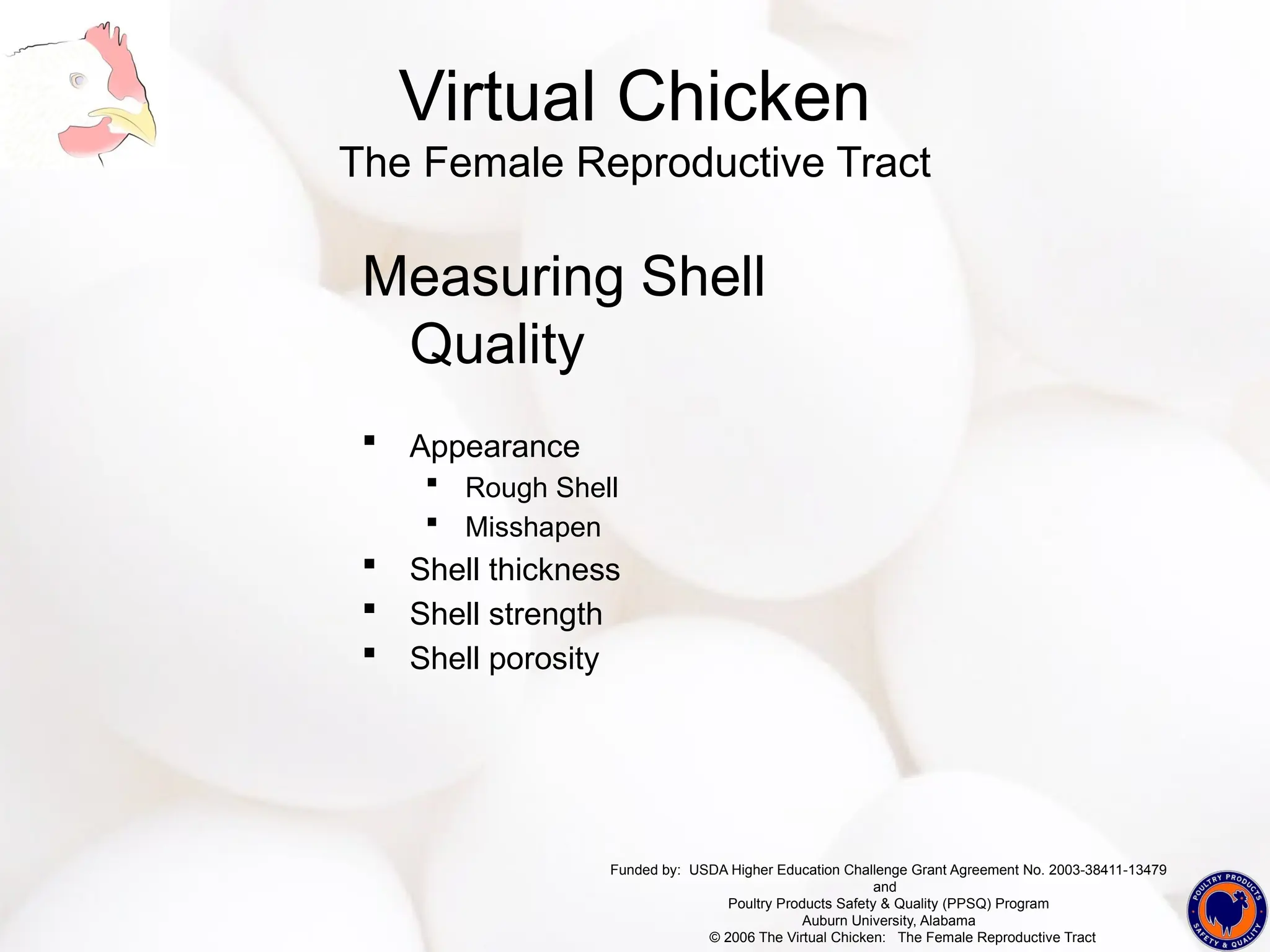 Female reproductive system poultry..pptx
