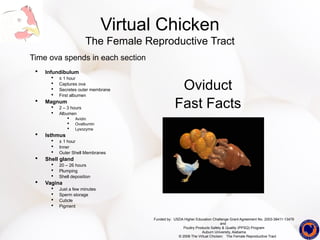Female reproductive system poultry..pptx