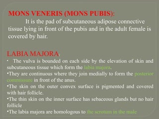 female reproductive systsawaem ppt-1.pptx