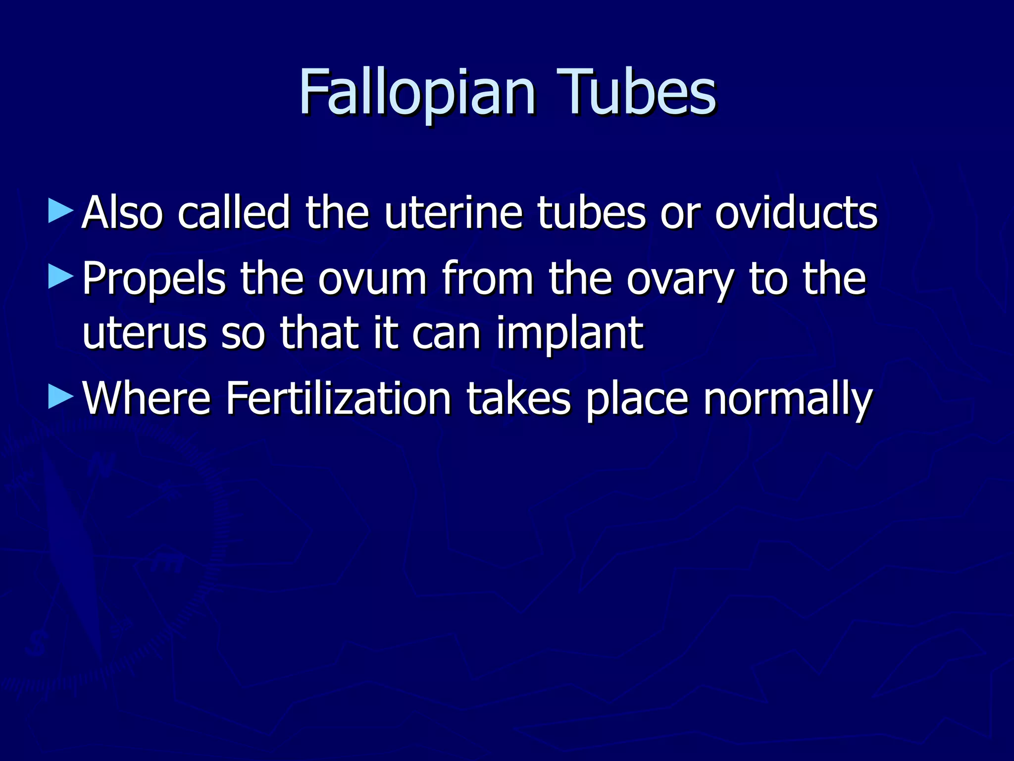 Female reproductive system presentation | PPT