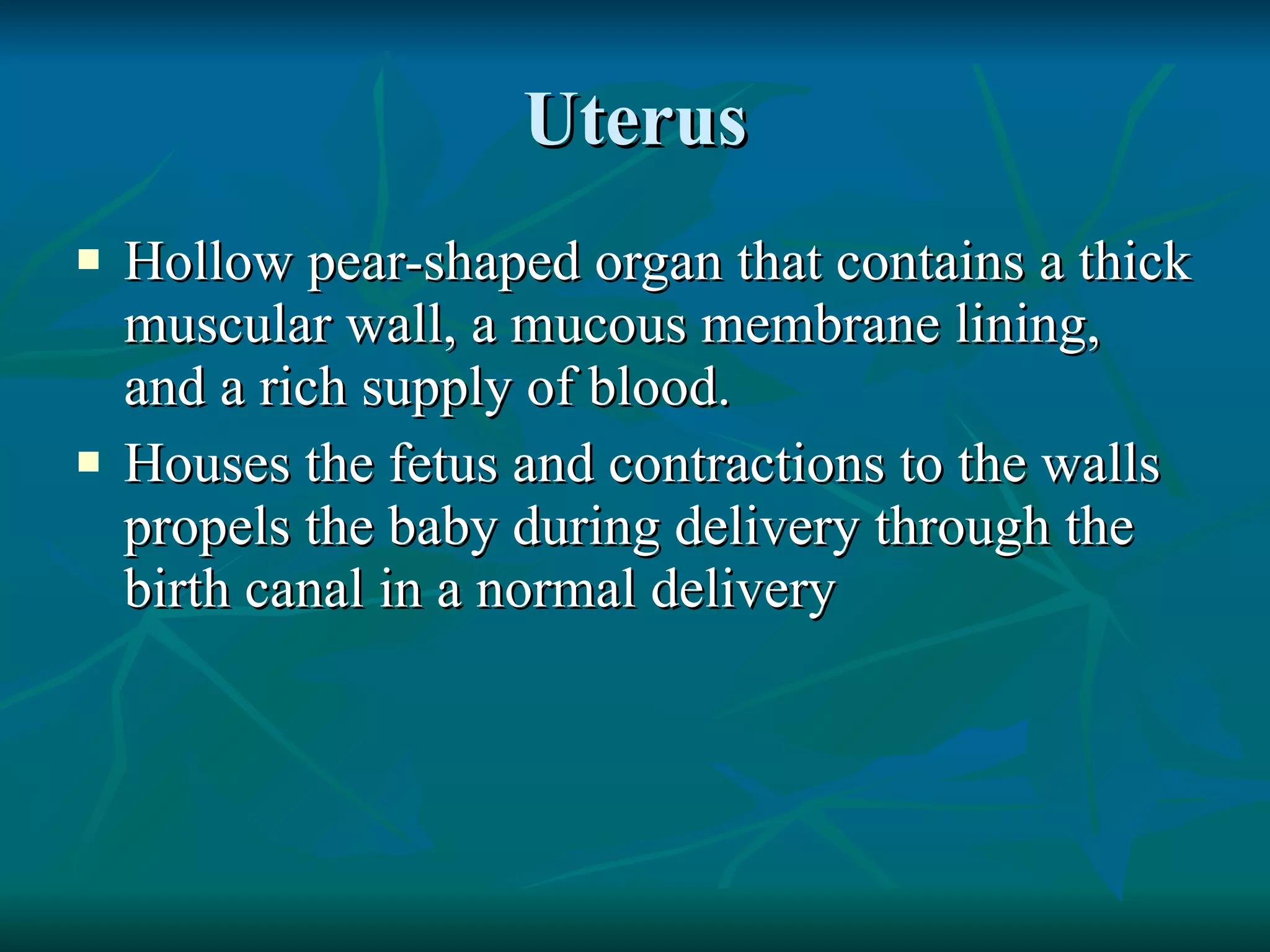 Female reproductive system presentation | PPT