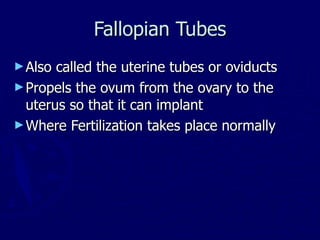 Female reproductive system presentation | PPT