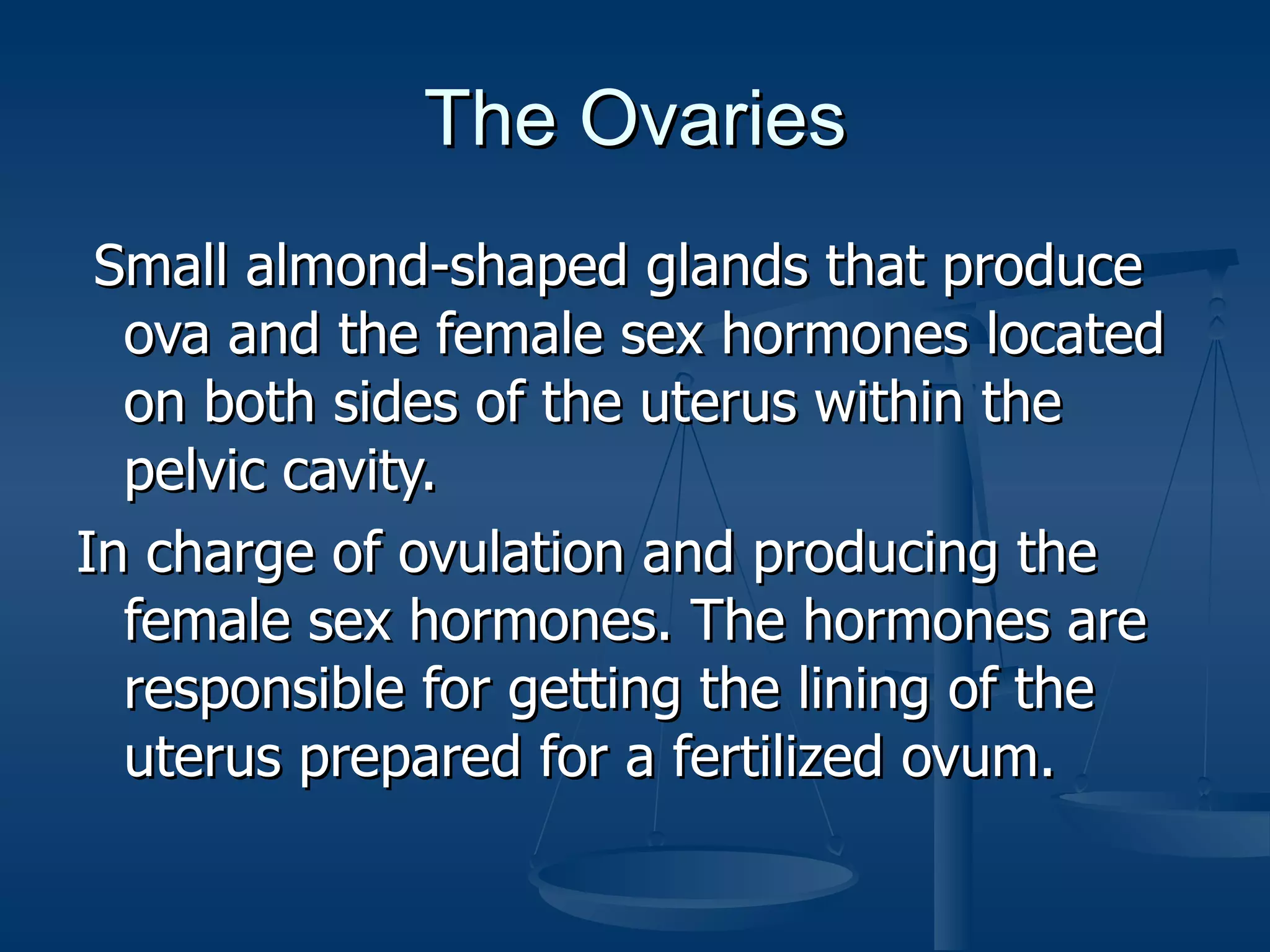Female reproductive system presentation | PPT