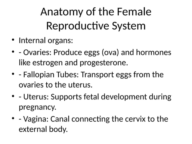 Female_Reproductive_System_Presentation (1).pptx