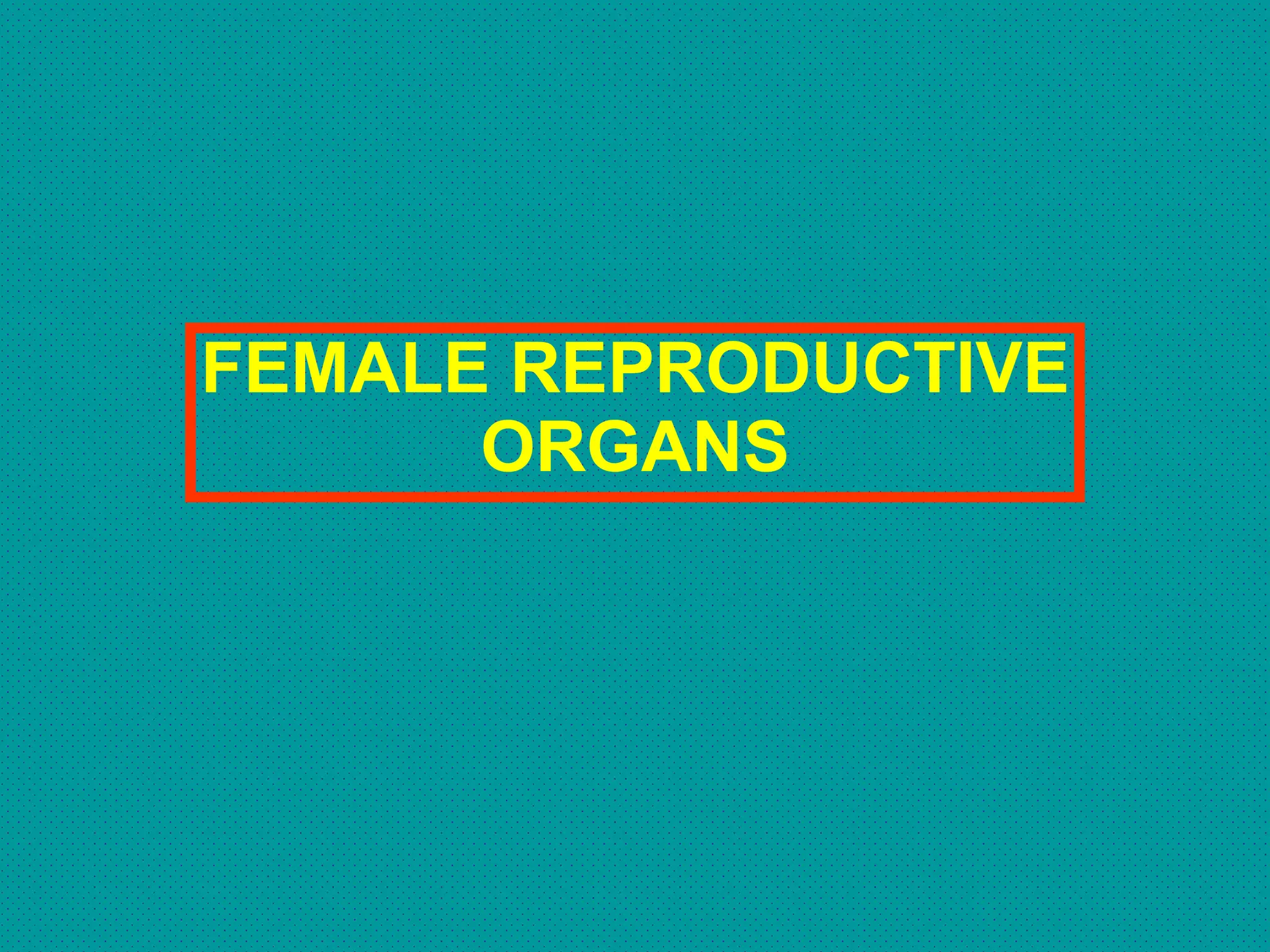 Female reproductive systems | PPT