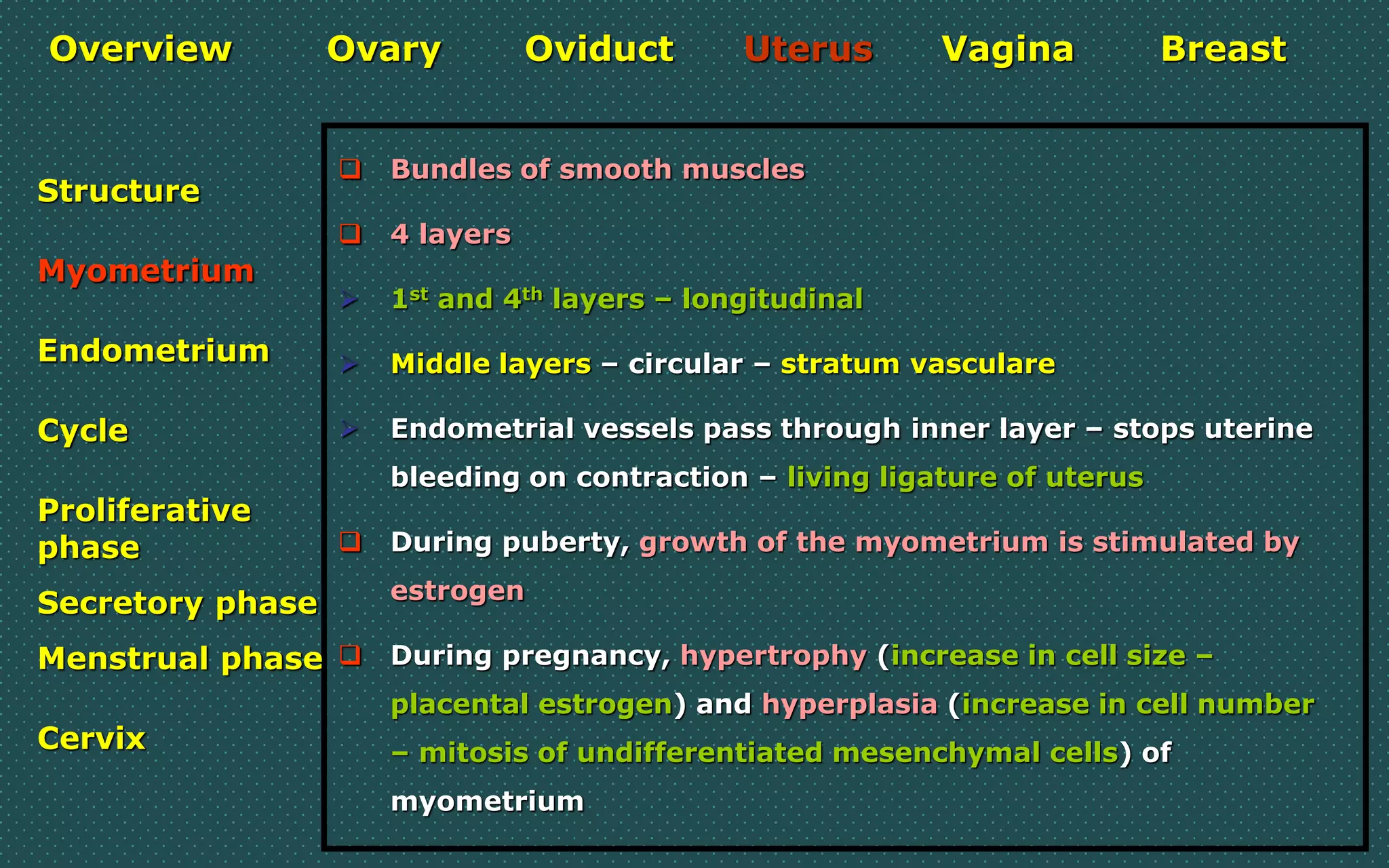 Female reproductive system | PDF