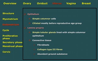 Female reproductive system | PDF