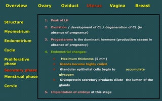 Female reproductive system | PDF