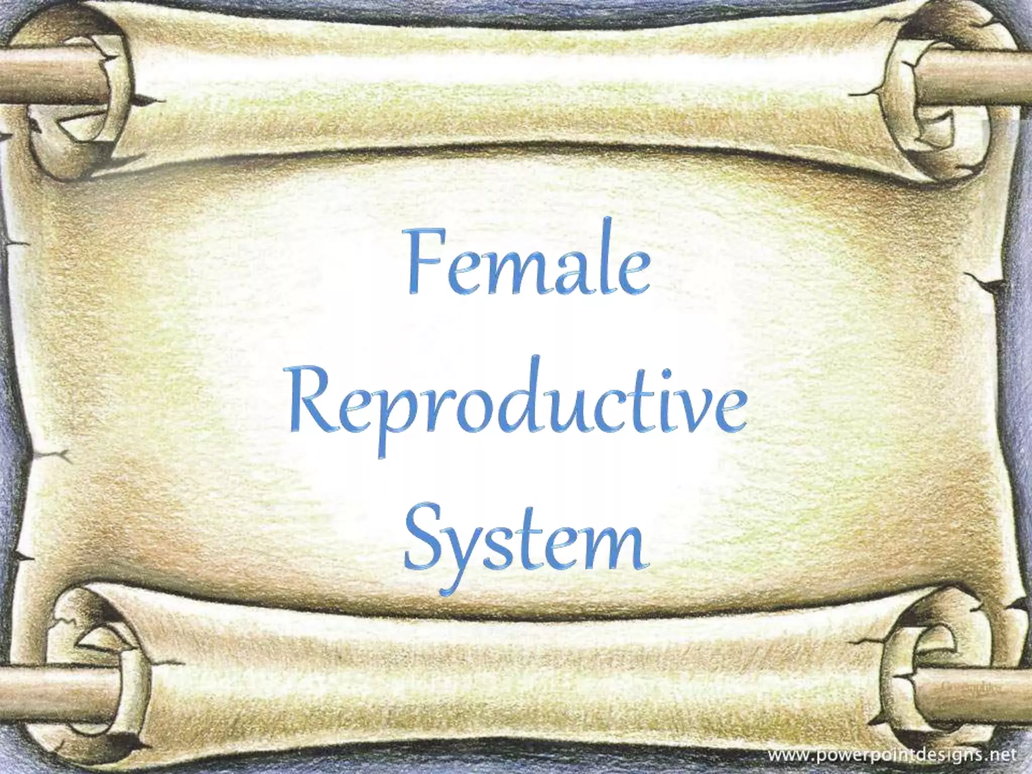 Female reproductive system (sistem reproduksi wanita) | PPTX