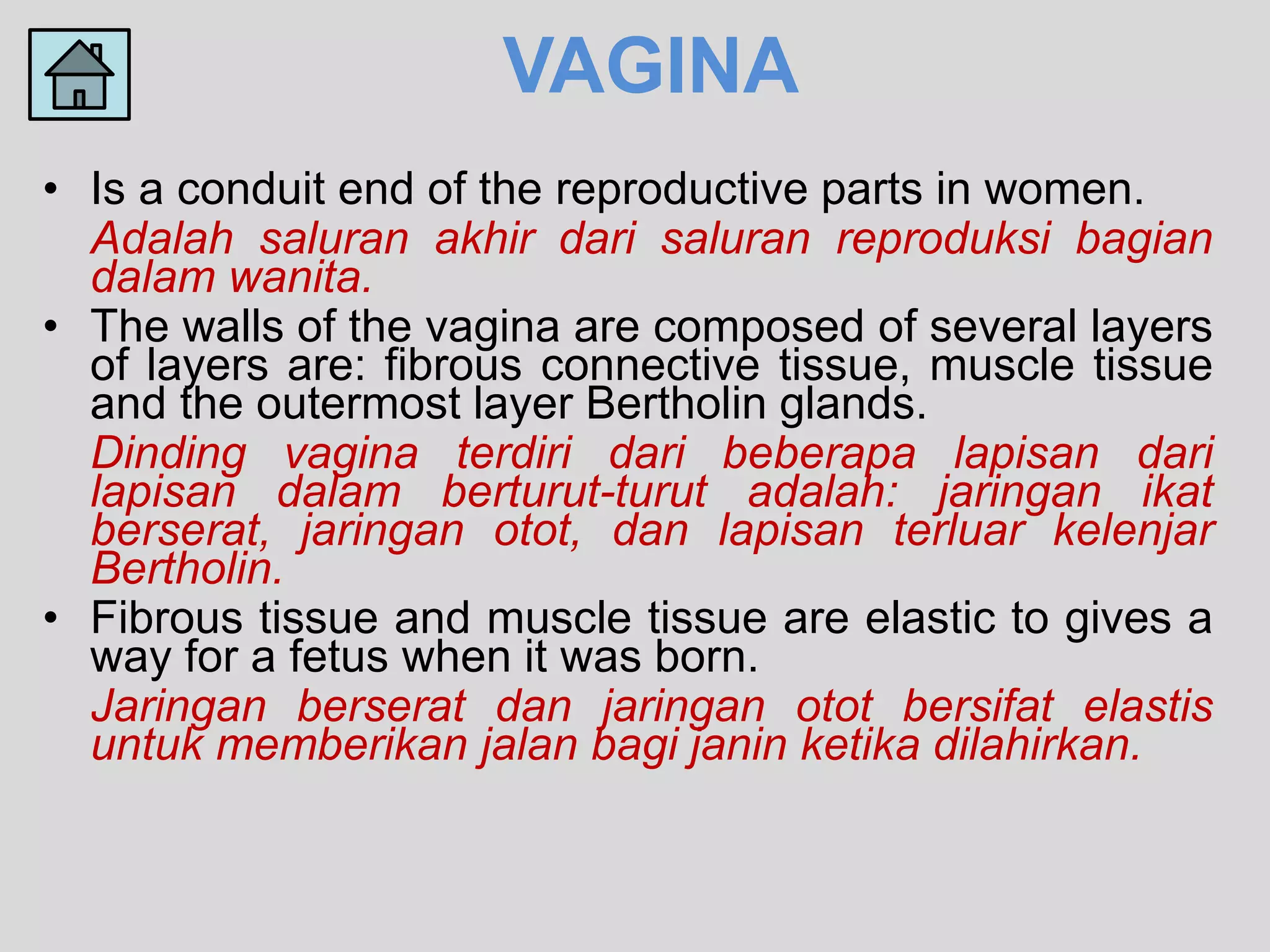 Female reproductive system (sistem reproduksi wanita) | PPTX