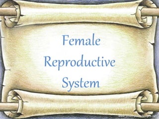 Female reproductive system (sistem reproduksi wanita) | PPTX