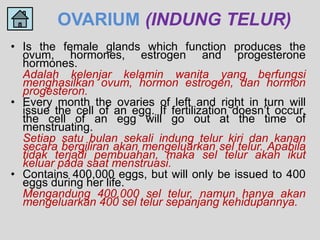 Female reproductive system (sistem reproduksi wanita) | PPTX