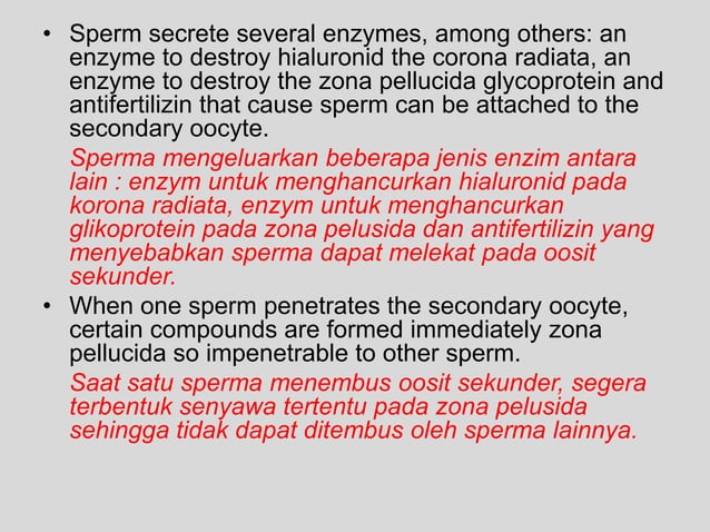 Female reproductive system (sistem reproduksi wanita) | PPT