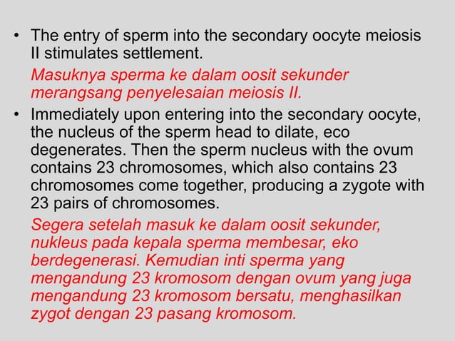 Female reproductive system (sistem reproduksi wanita) | PPT