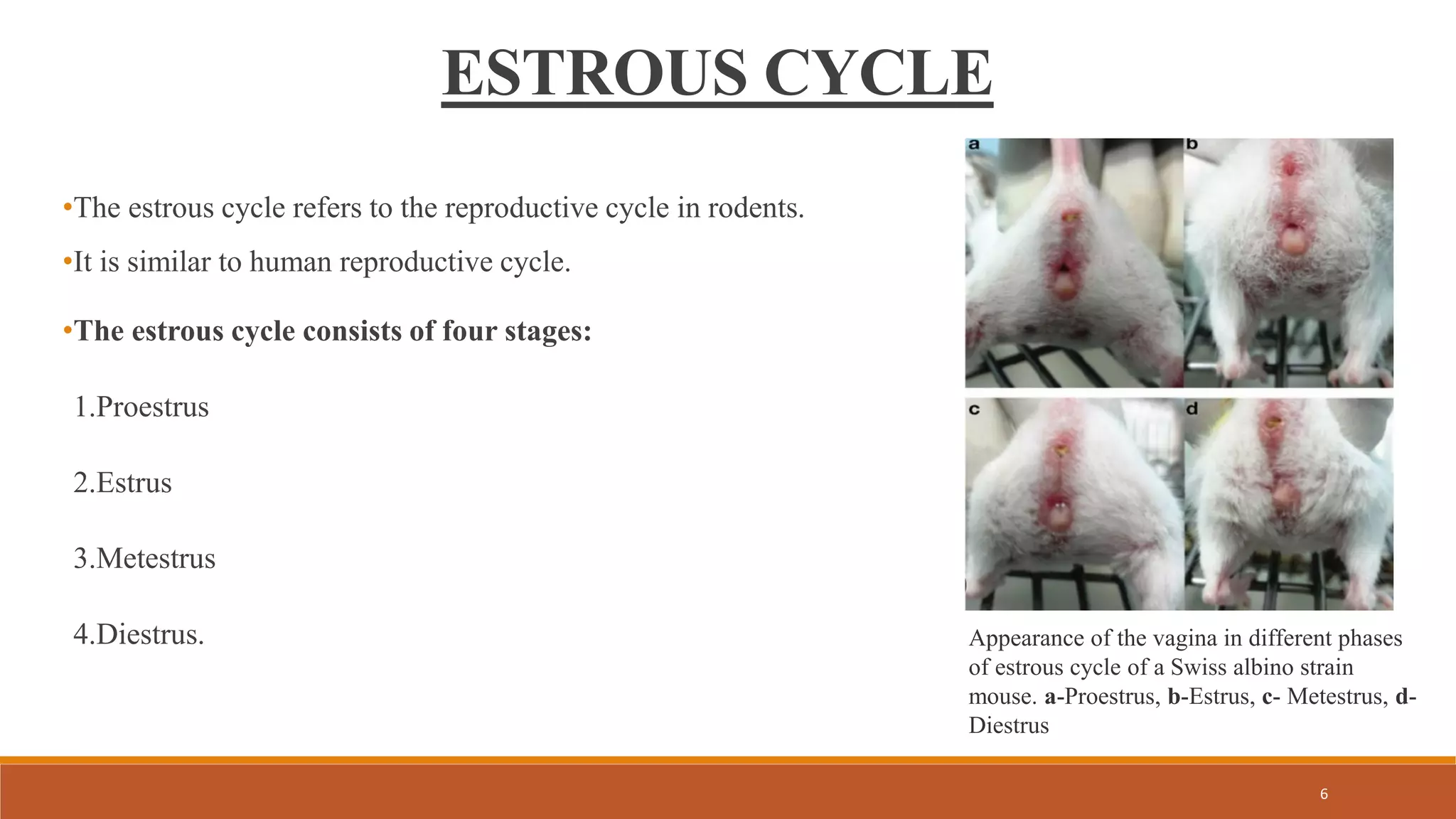 Female reproductive toxicity studies.pptx