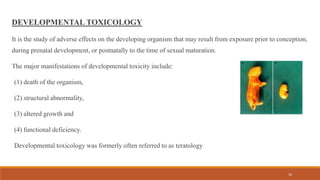 Female reproductive toxicity studies.pptx