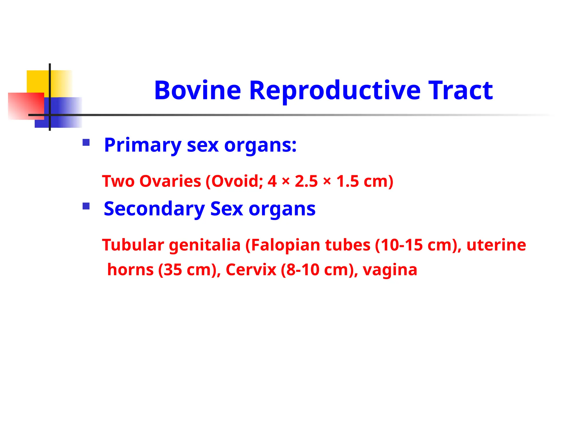 Female Reproductive tract of animals .pptx