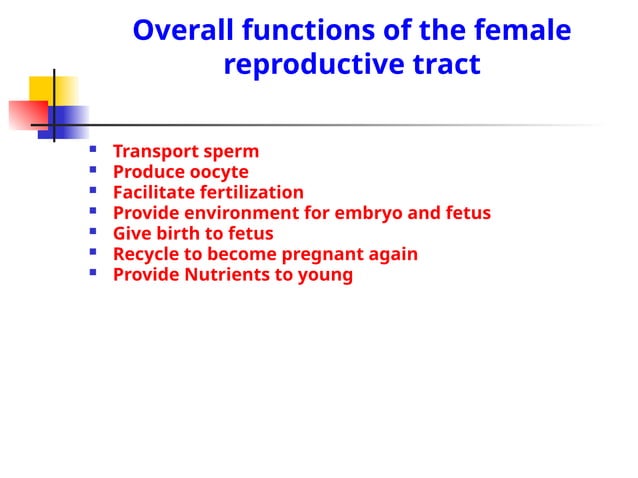 Female Reproductive tract of animals .pptx