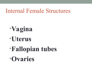 female reproductive system and its problems | PPT
