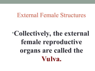 female reproductive system and its problems | PPT
