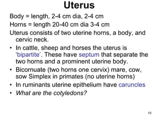 Anatomy of Female Reproductive Tract.ppt